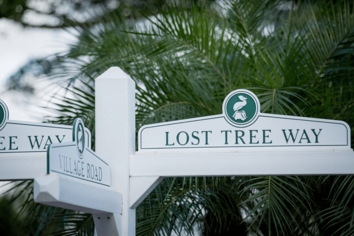 Lost Tree Club – Seth Schlegel